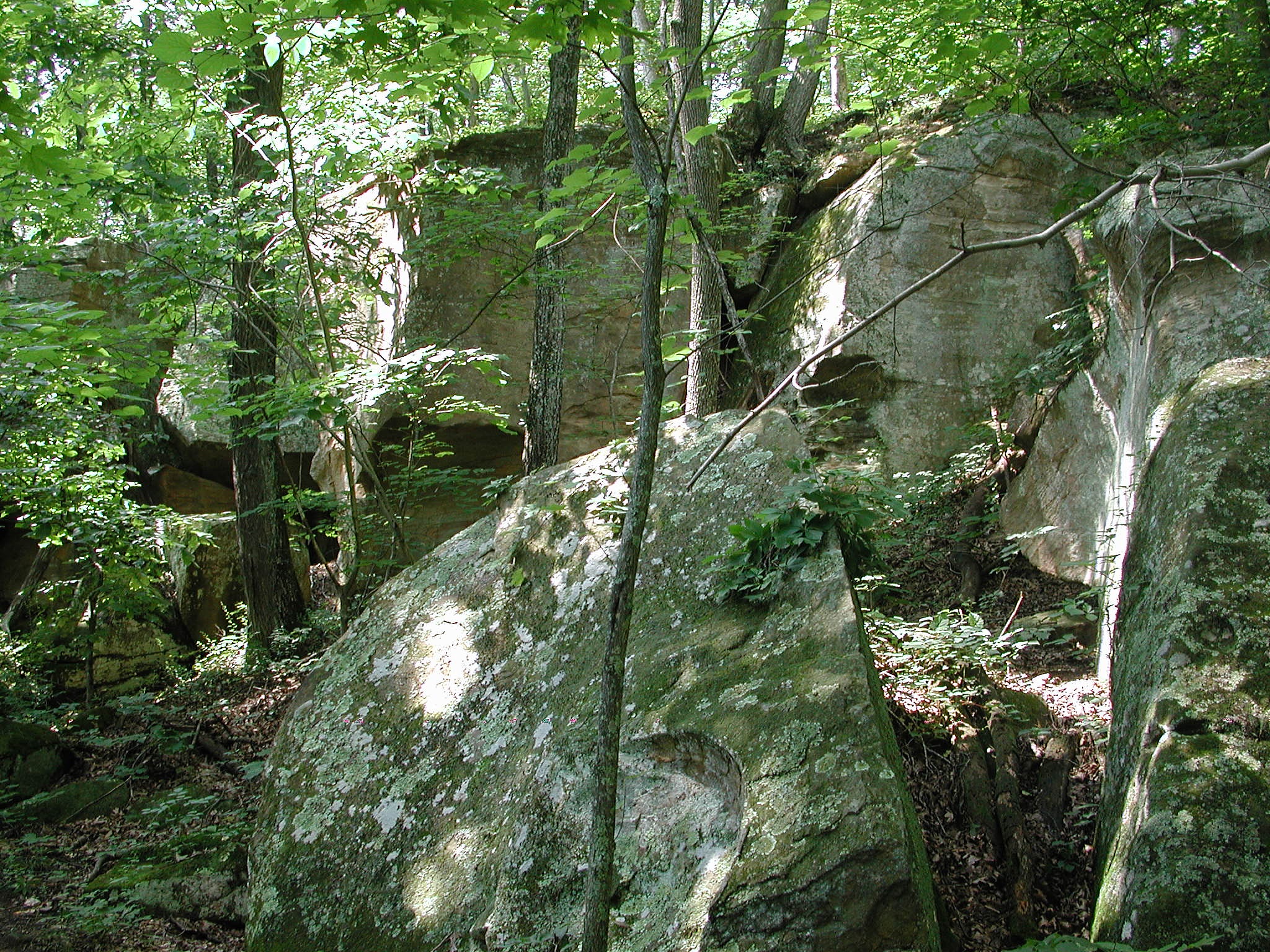 Friends of Strouds Run State Park Photo Galleries