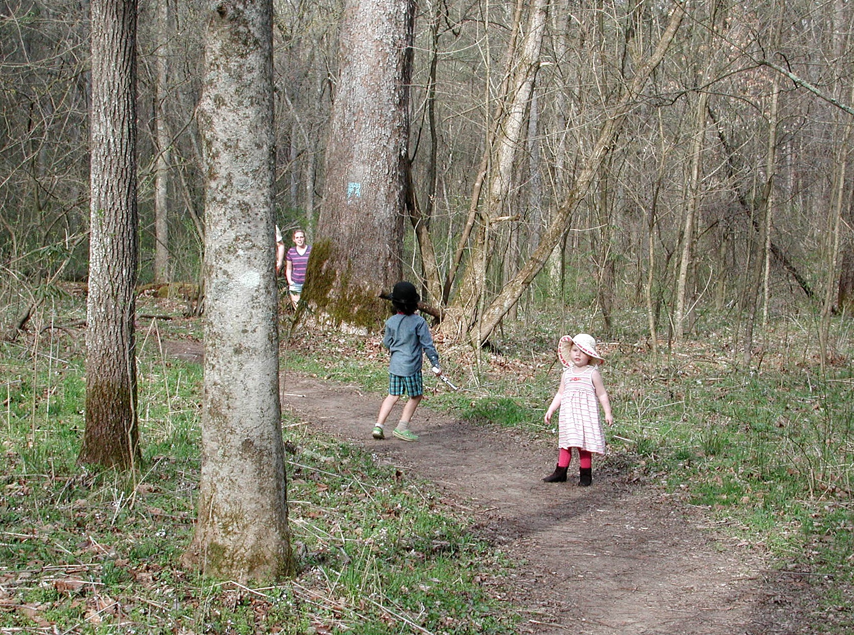 Friends of Strouds Run State Park Photo Galleries